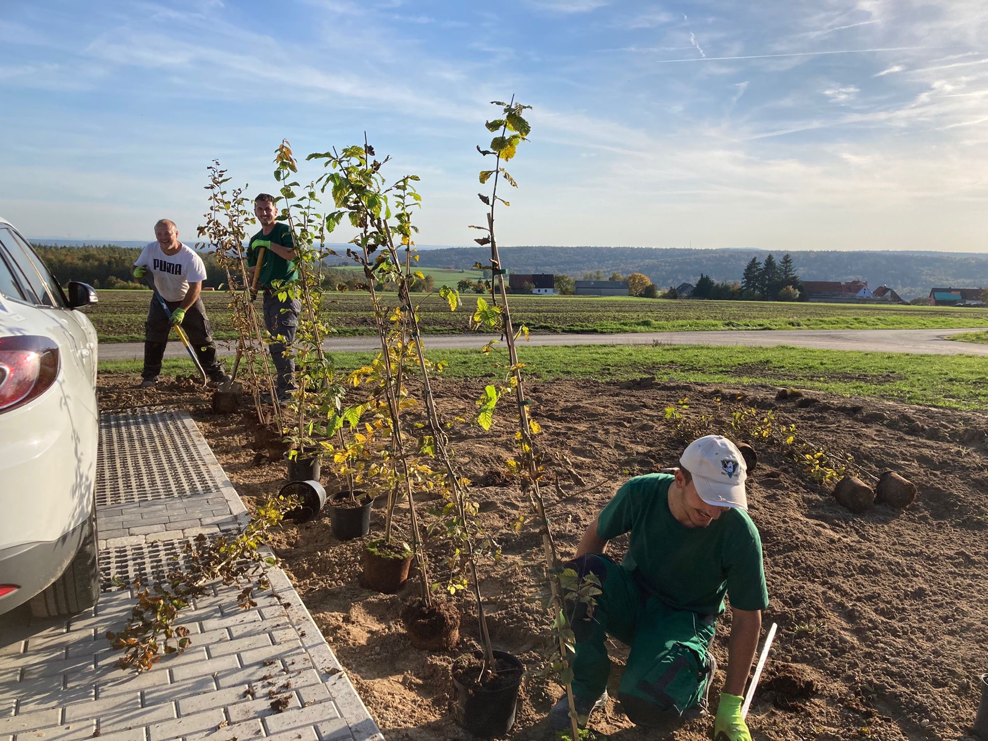 @work :: Baumgart-garten